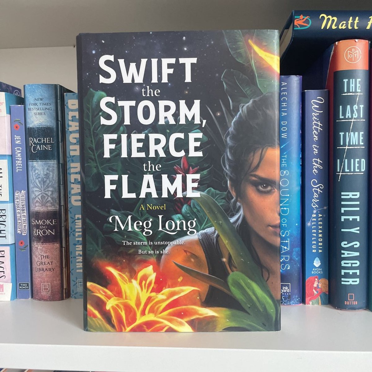 Swift the Storm, Fierce the Flame by Meg Long