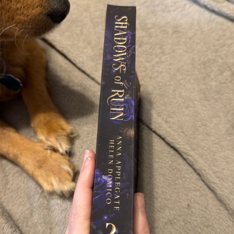 Shadows of Ruin (the Broken Prophecy Book 2) by Anna Applegate, Helen ...