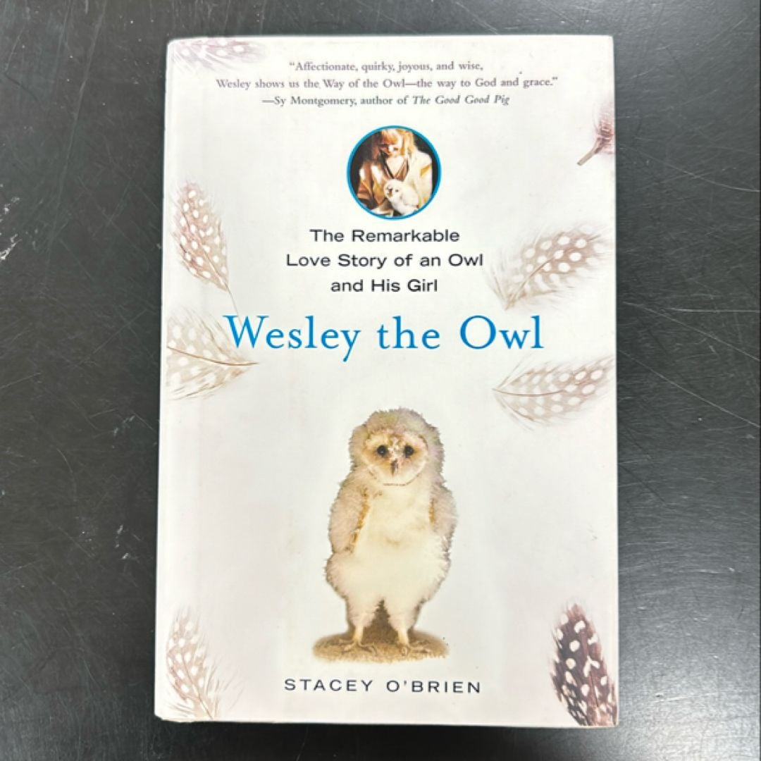 Wesley the Owl by Stacey O'Brien