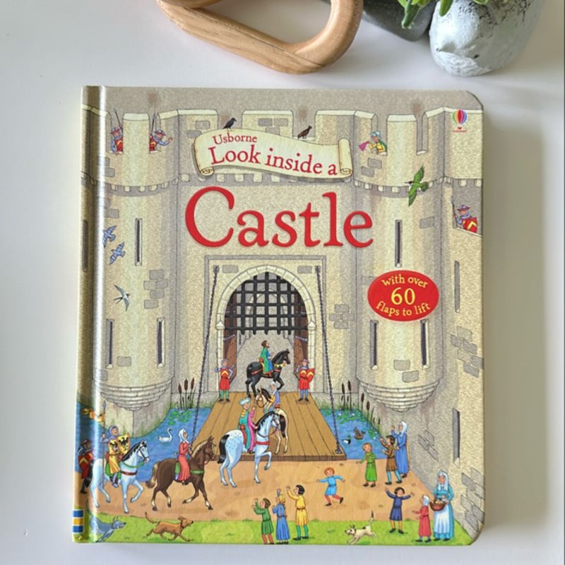 Look Inside a Castle by Conrad Mason