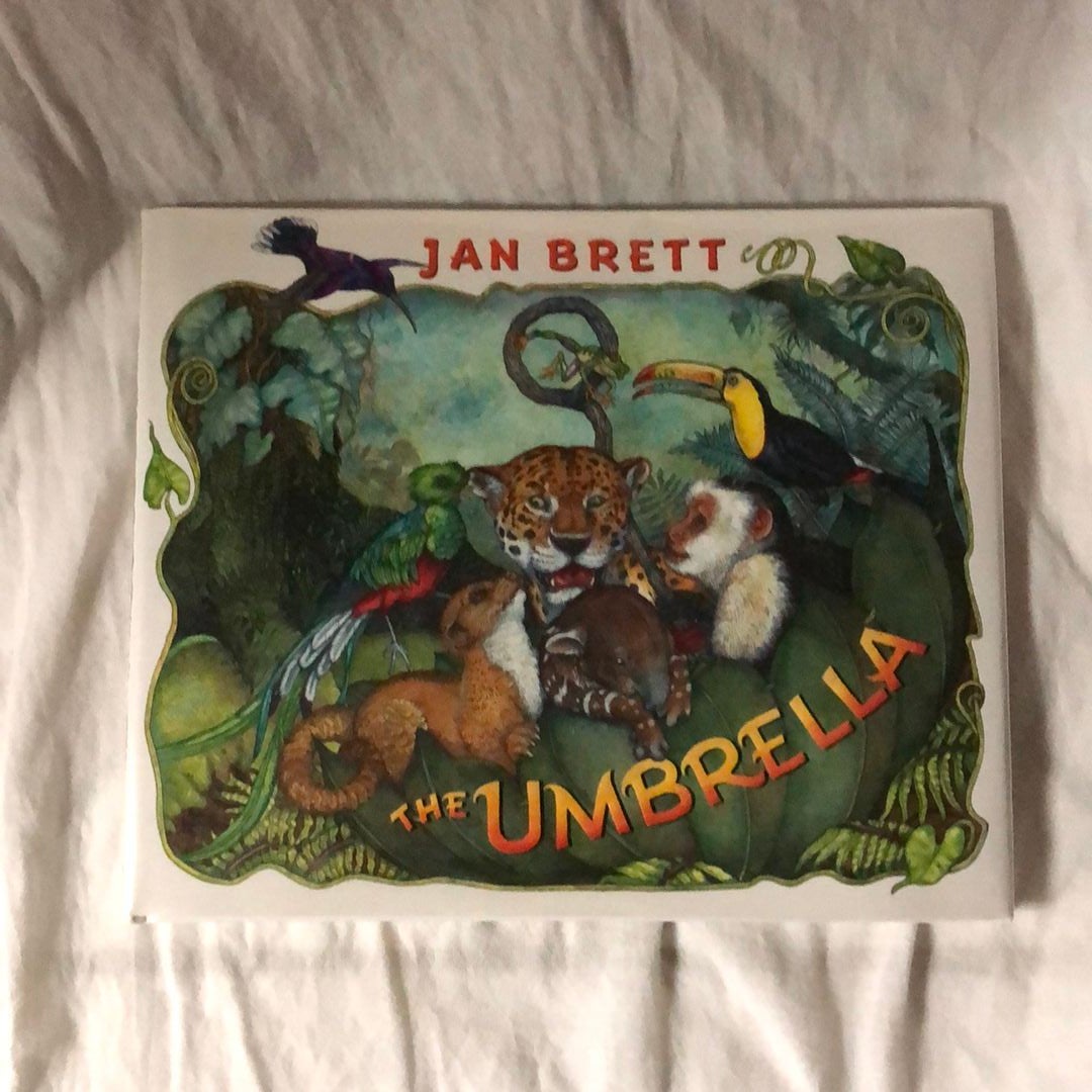 The Umbrella by Jan Brett