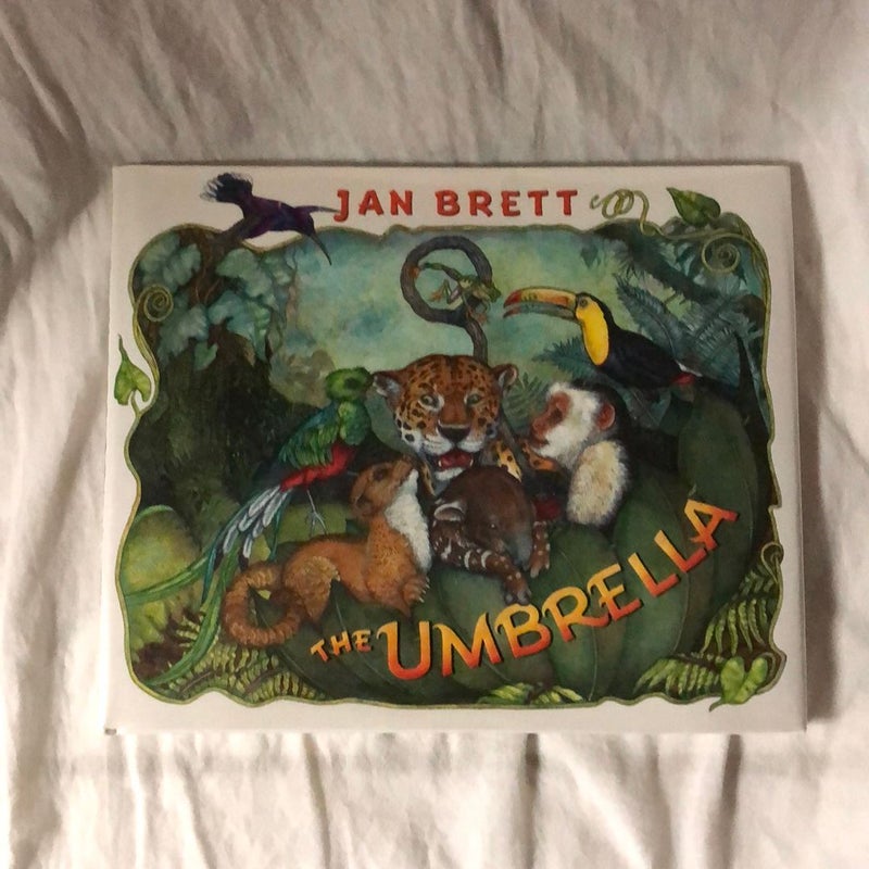 The Umbrella by Jan Brett