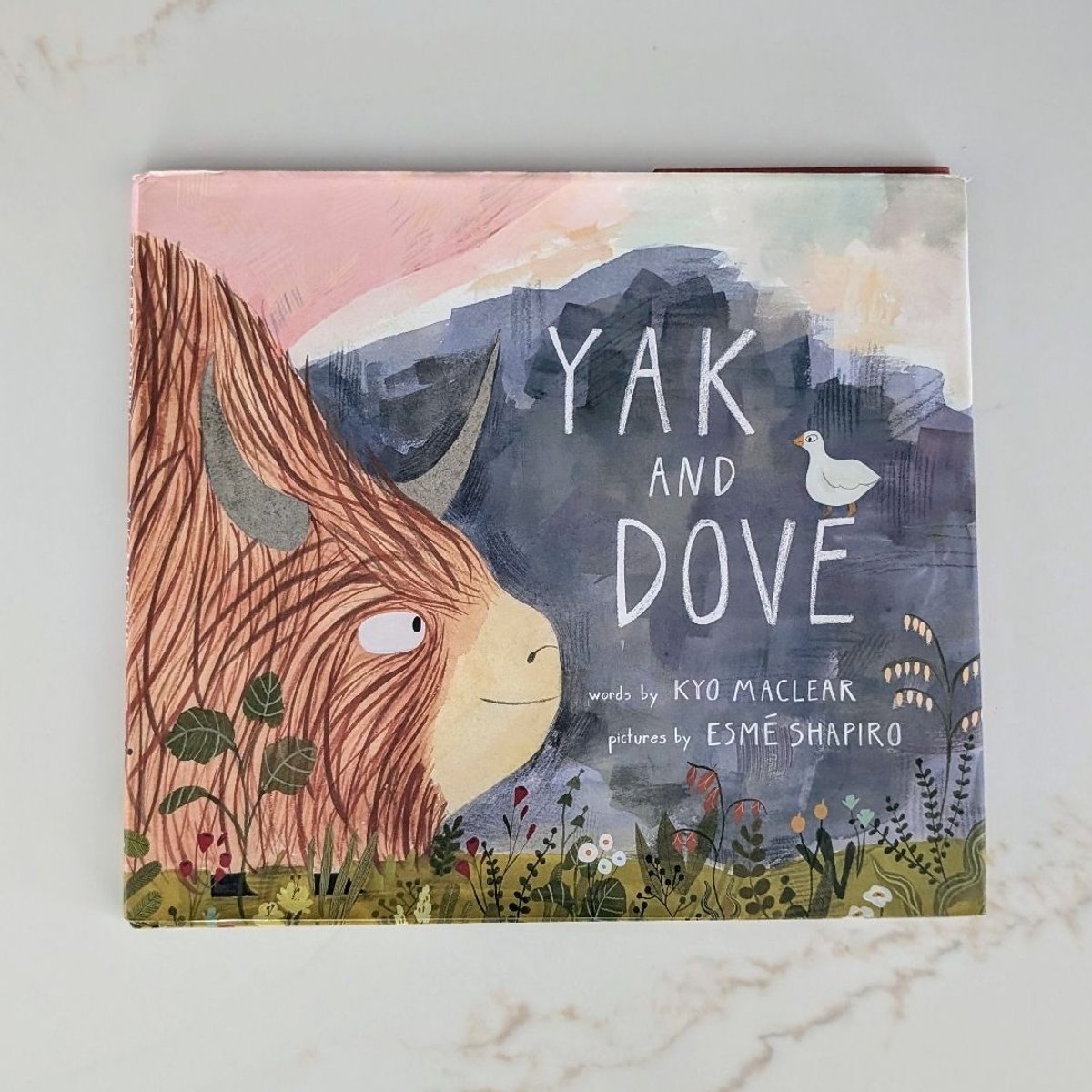 Yak and Dove by Kyo Maclear