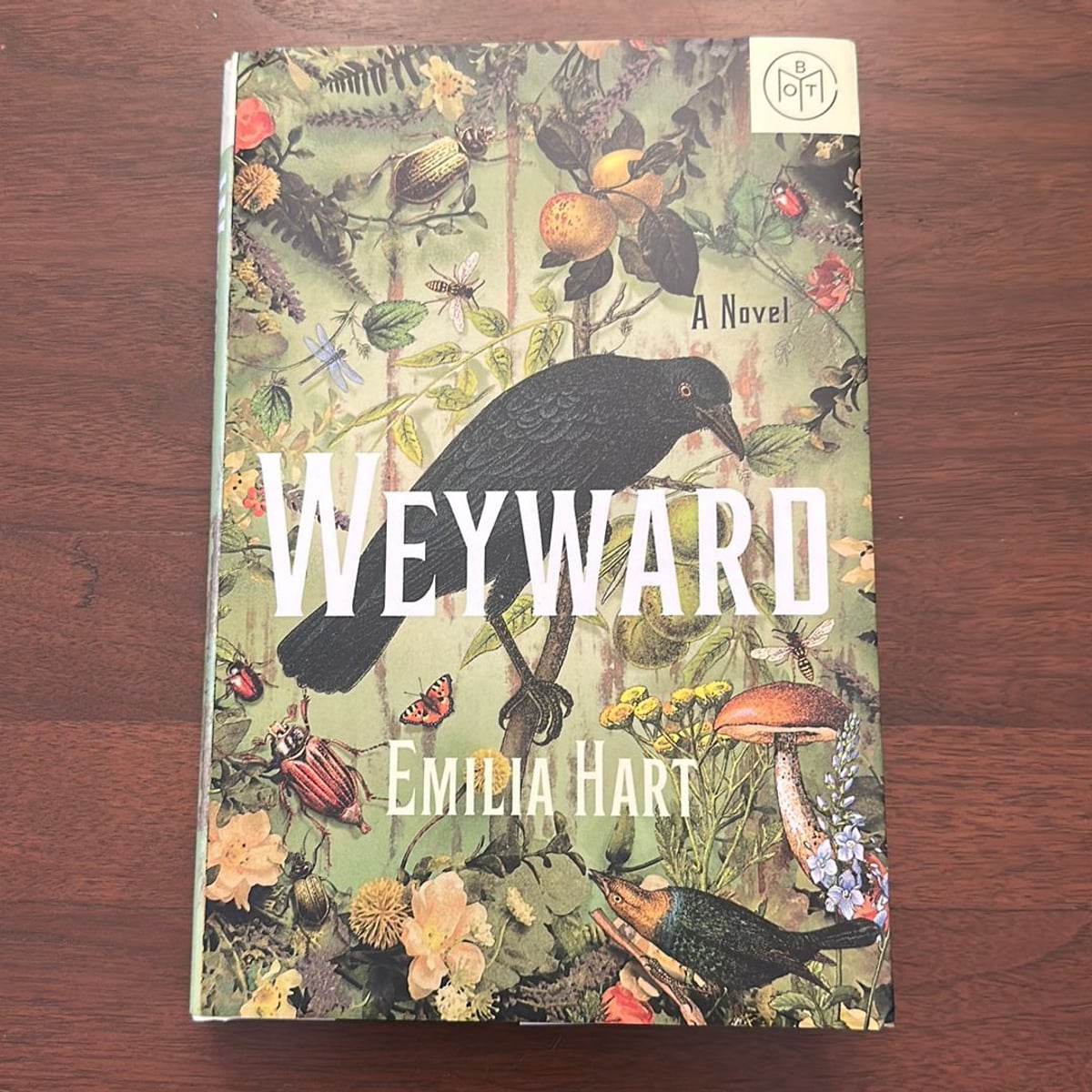 Weyward by Emilia Hart, Hardcover | Pangobooks