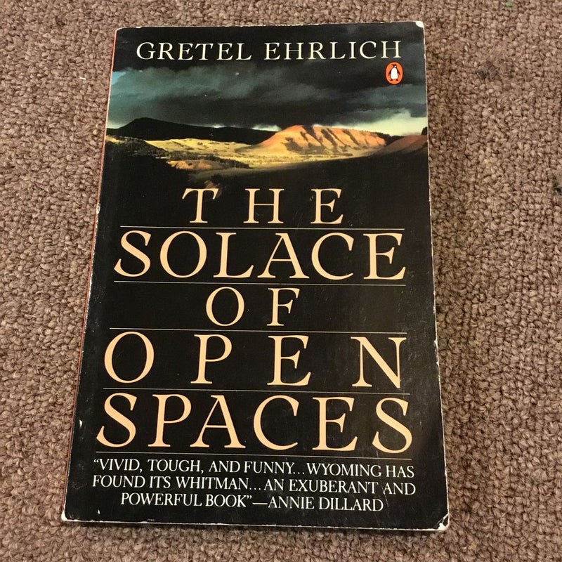 The Solace of Open Spaces