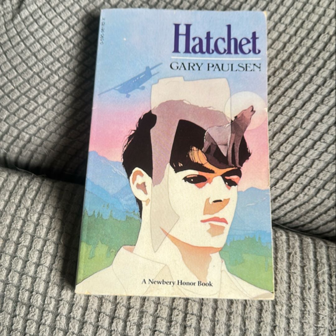 Hatchet by Gary Paulson, Paperback | Pangobooks