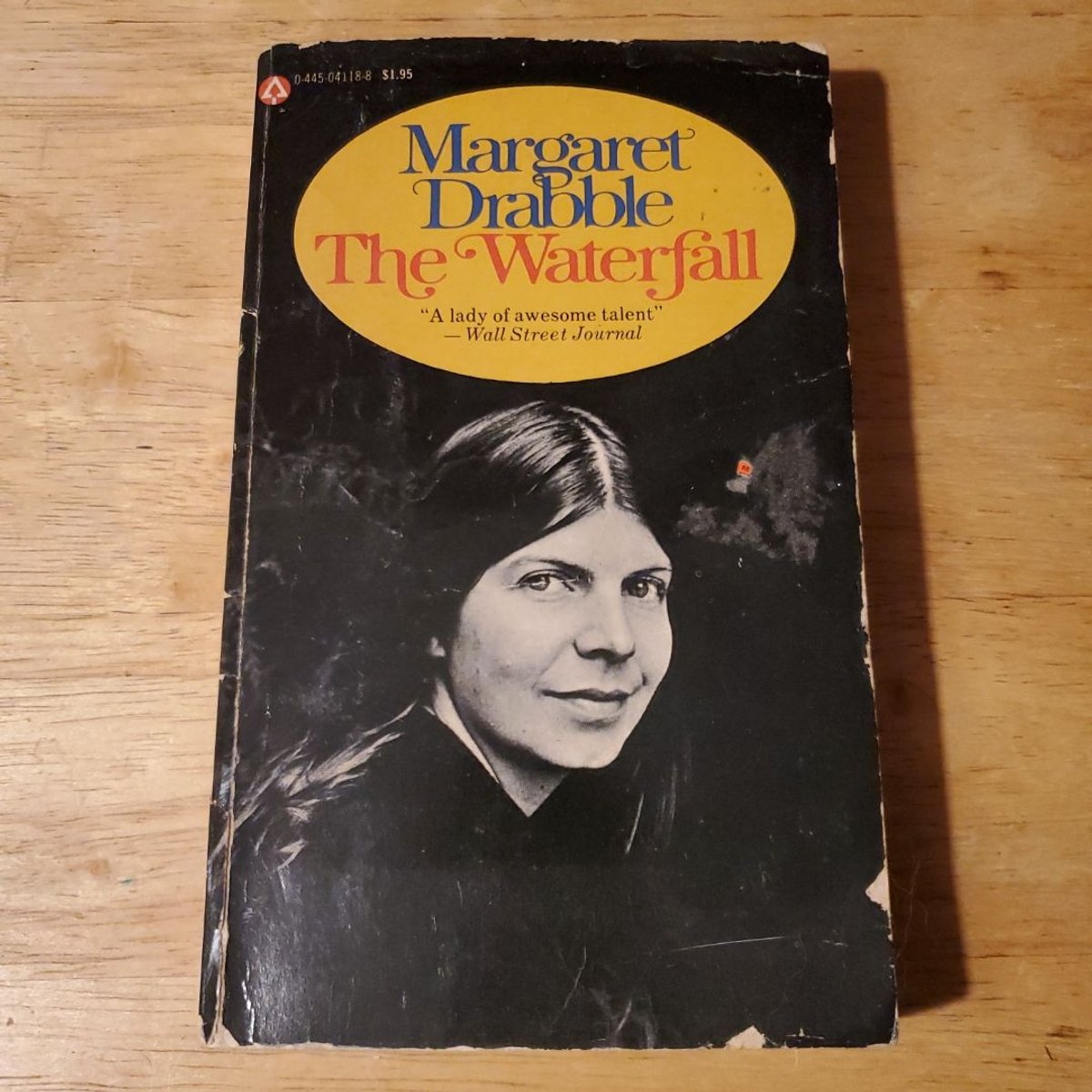 Waterfall by Margaret Drabble