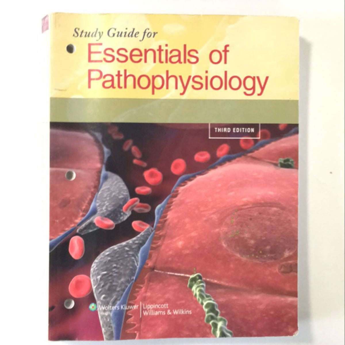 Essentials of Pathophysiology by Carol M. Porth, Kathleen S. Prezbindowski