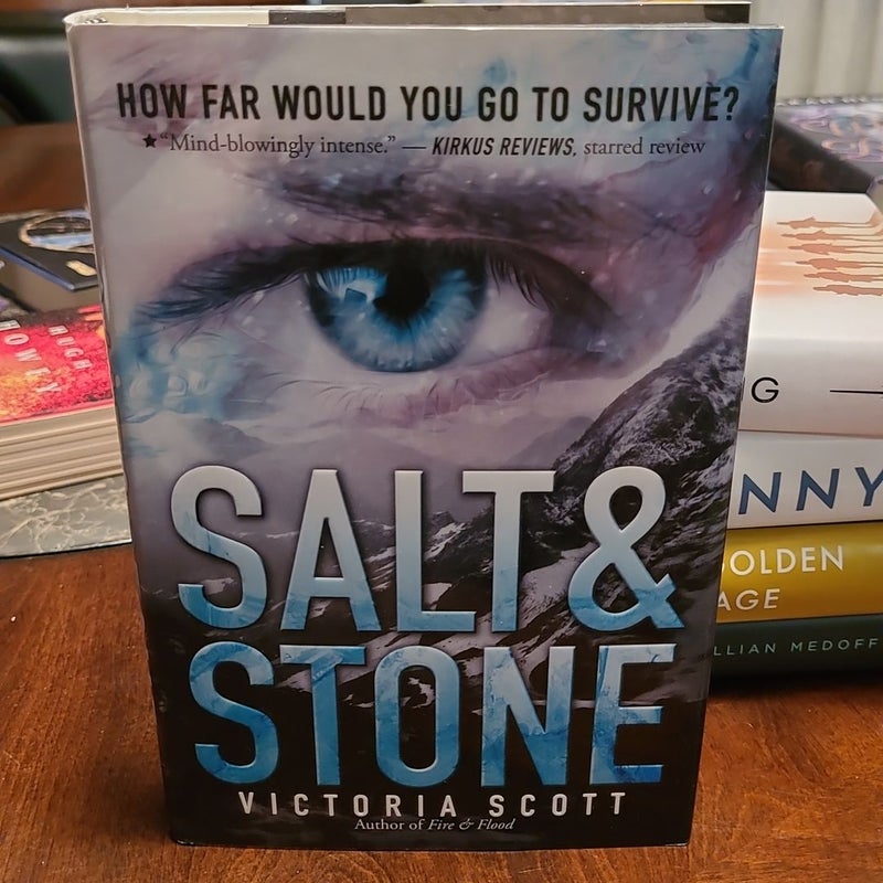 Salt and Stone by Victoria Scott