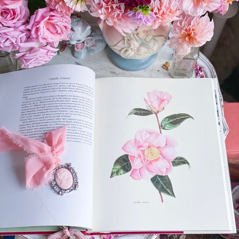 Complete Flower Paintings and Drawings of Graham Stuart Thomas by ...