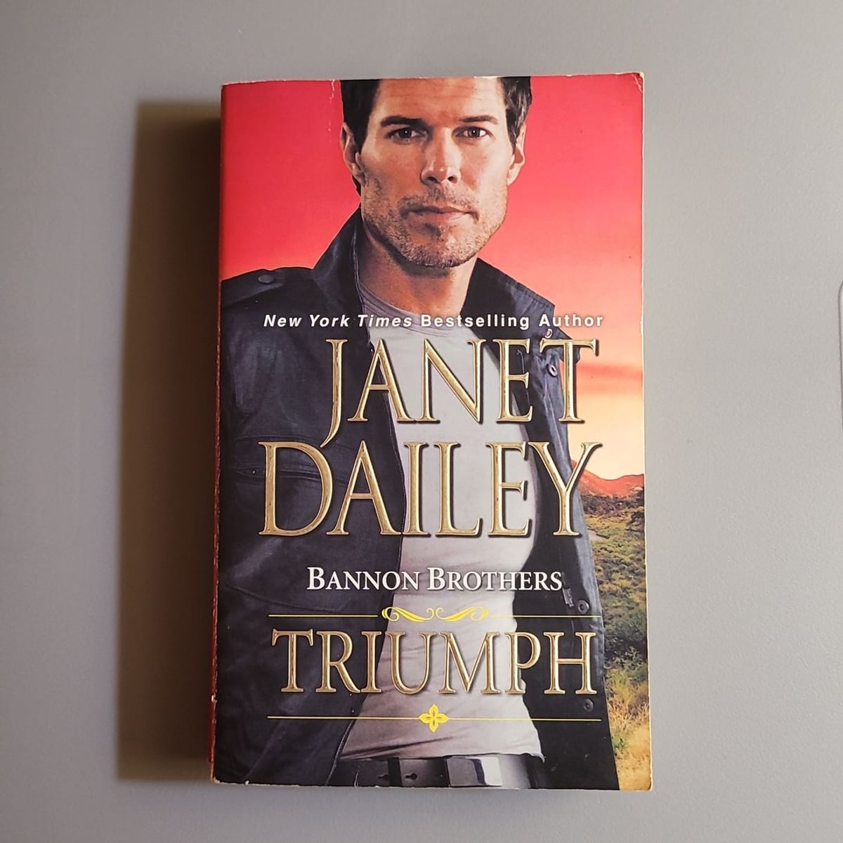 Bannon Brothers: Triumph by Janet Daily