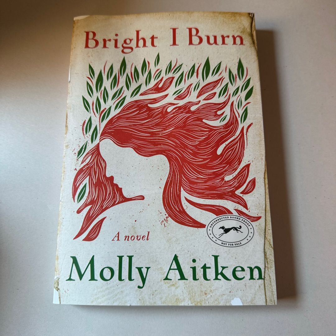 Bright I Burn by Molly Aitken