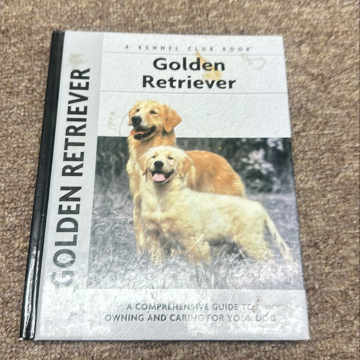 Golden Retriever by Nona Kilgore Bauer, Isabelle Francais