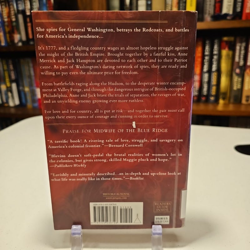 The Turning of Anne Merrick by Christine Blevins, Paperback | Pangobooks