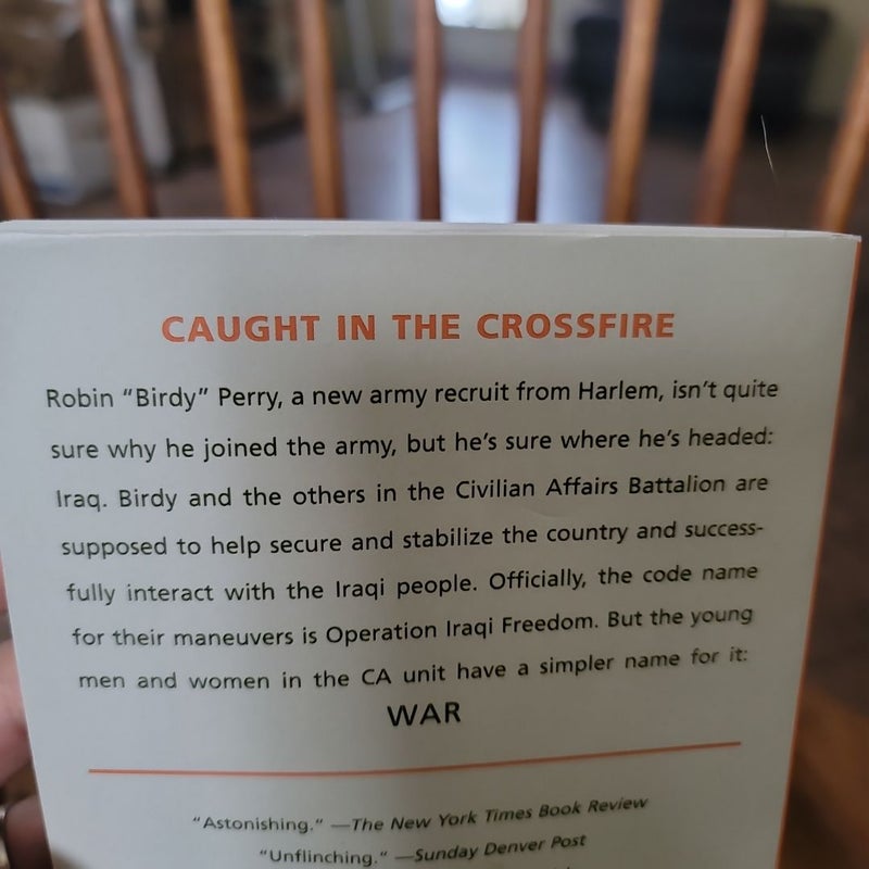 BUNDLE 1) Invasion 2) Fallen Angels 3) Sunrise Over Fallujah [By Walter ...