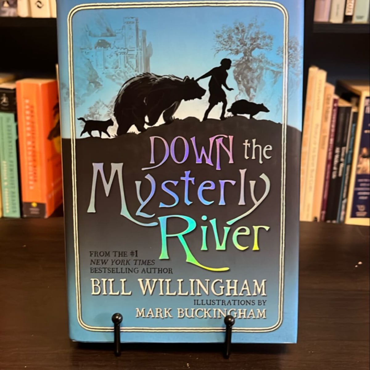 Down the Mysterly River by Bill Willingham