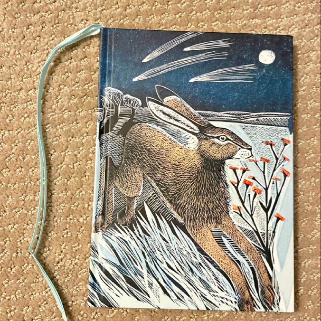 Angela Harding: Shooting Stars (Foiled Blank Journal) by Flame Tree Studio