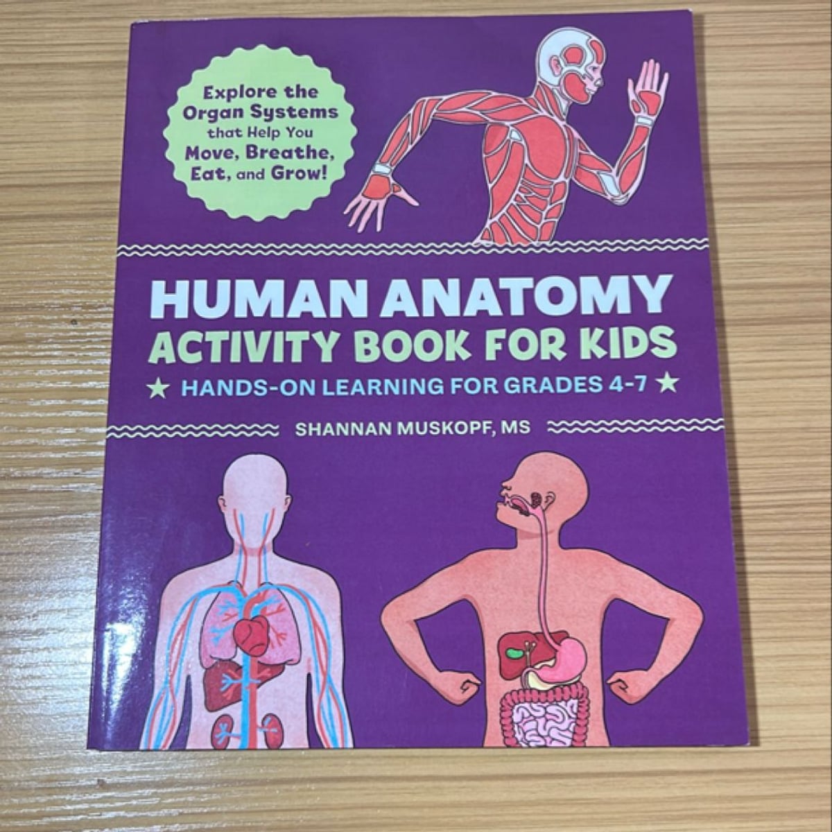 Human Anatomy Activity Book for Kids by Shannan Muskopf