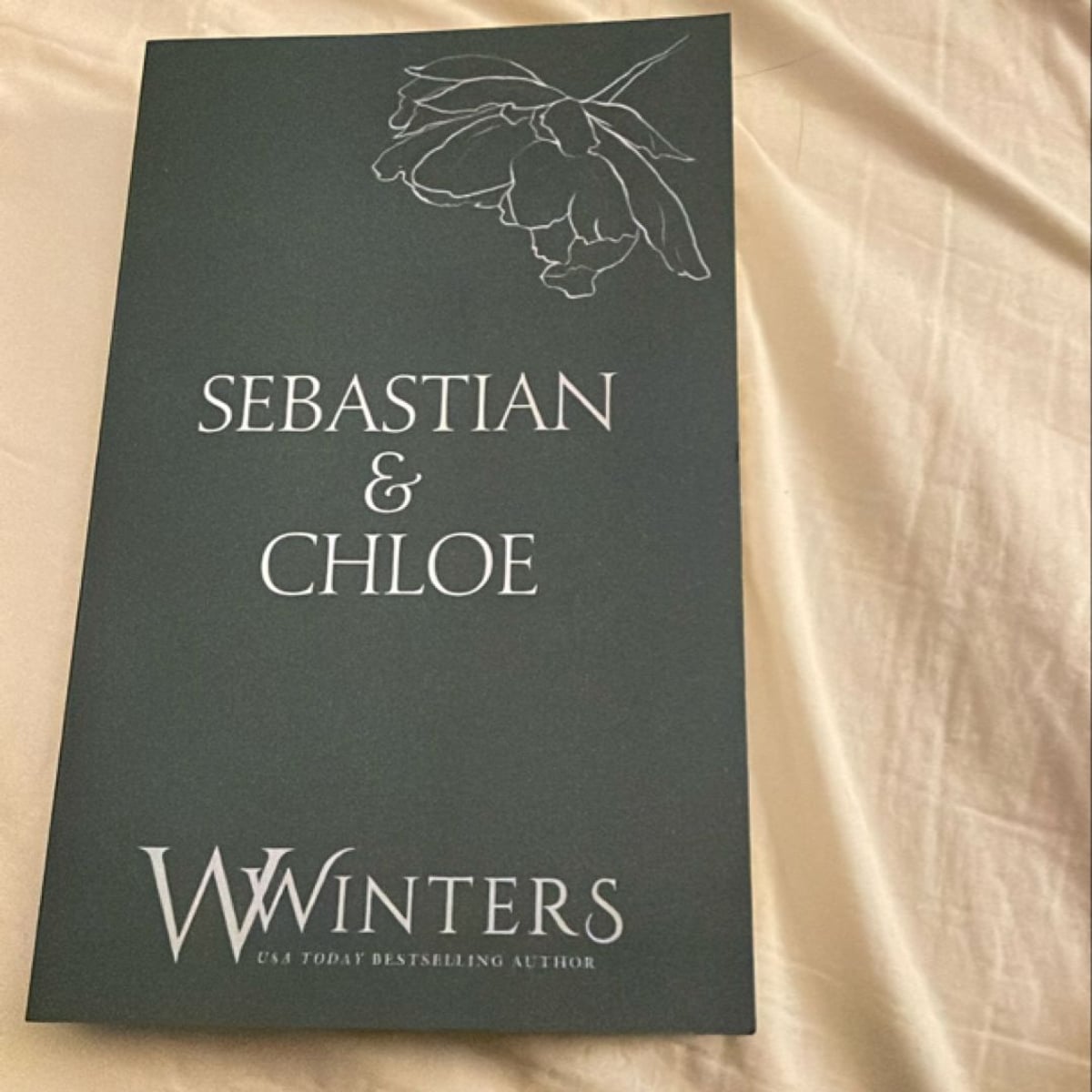 Sebastian and Chloe by Willow Winters , Paperback | Pangobooks