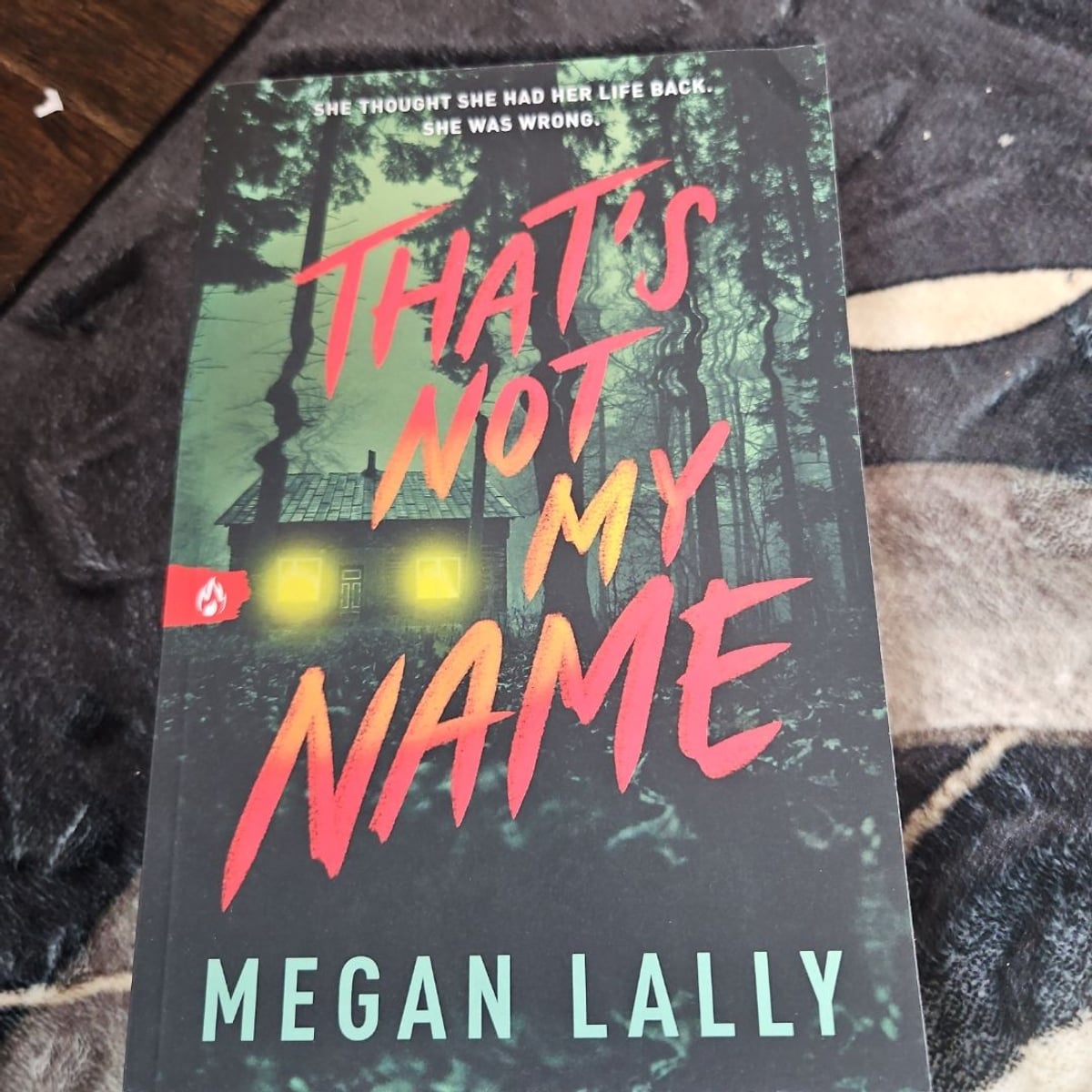 That's Not My Name by Megan Lally