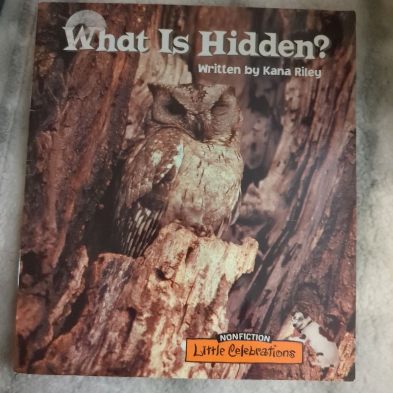What Is Hidden? by Pearson Learning Staff