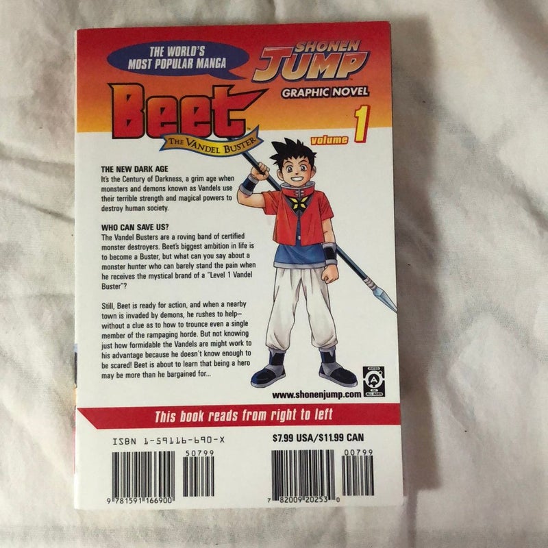 Beet the Vandel Buster, Vol. 1 by Riku Sanjo, Paperback | Pangobooks