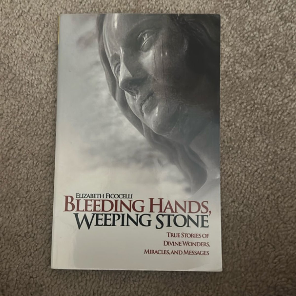 Bleeding Hands, Weeping Stone by Elizabeth Ficocelli