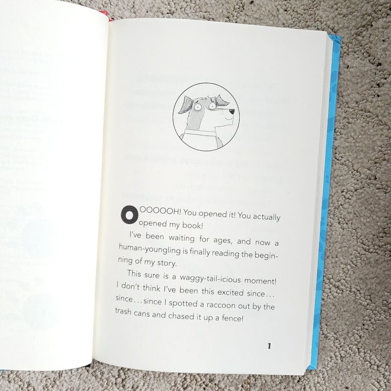 Dog Diaries & Happy Howlidays by James Patterson, Steven Butler ...