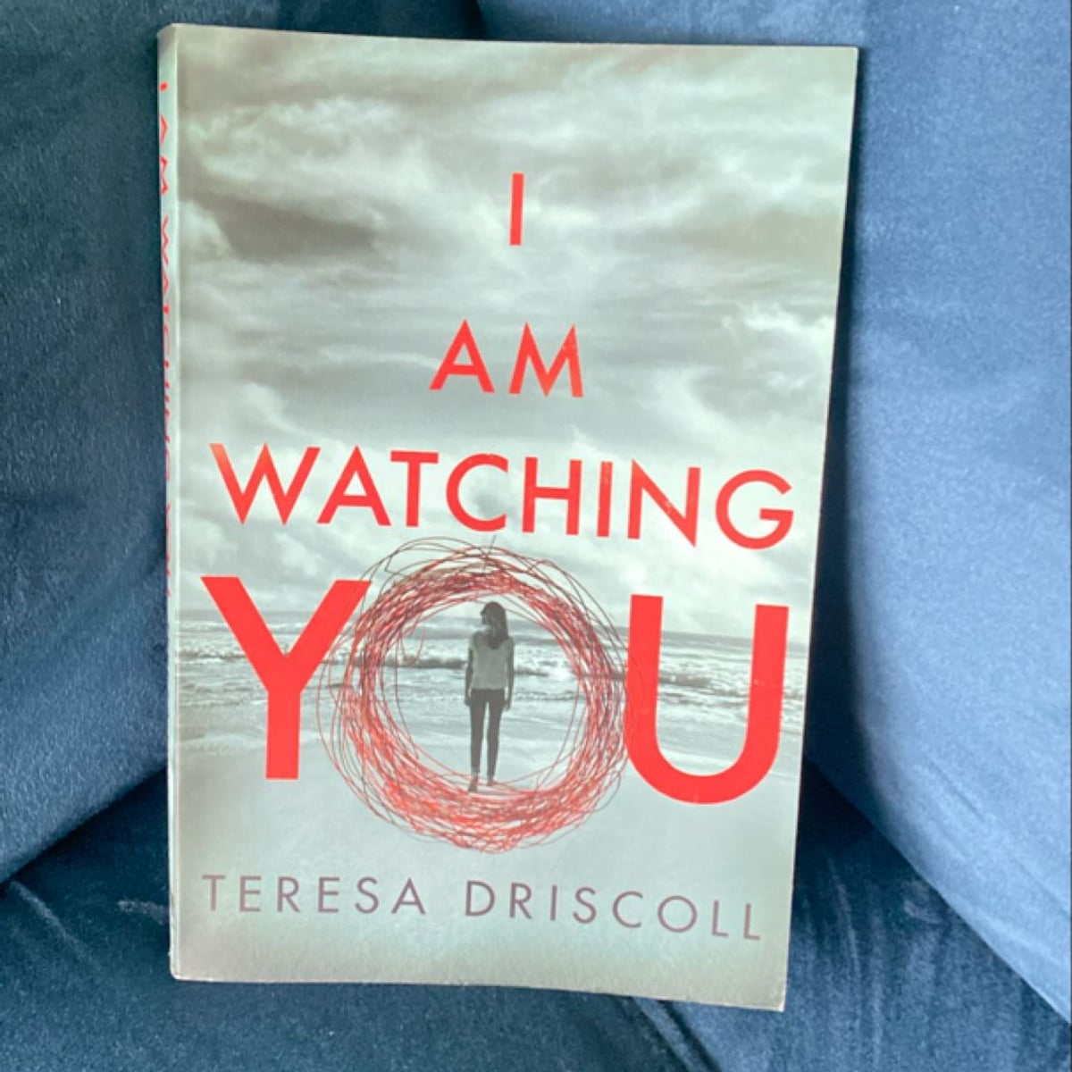 I Am Watching You by Teresa Driscoll