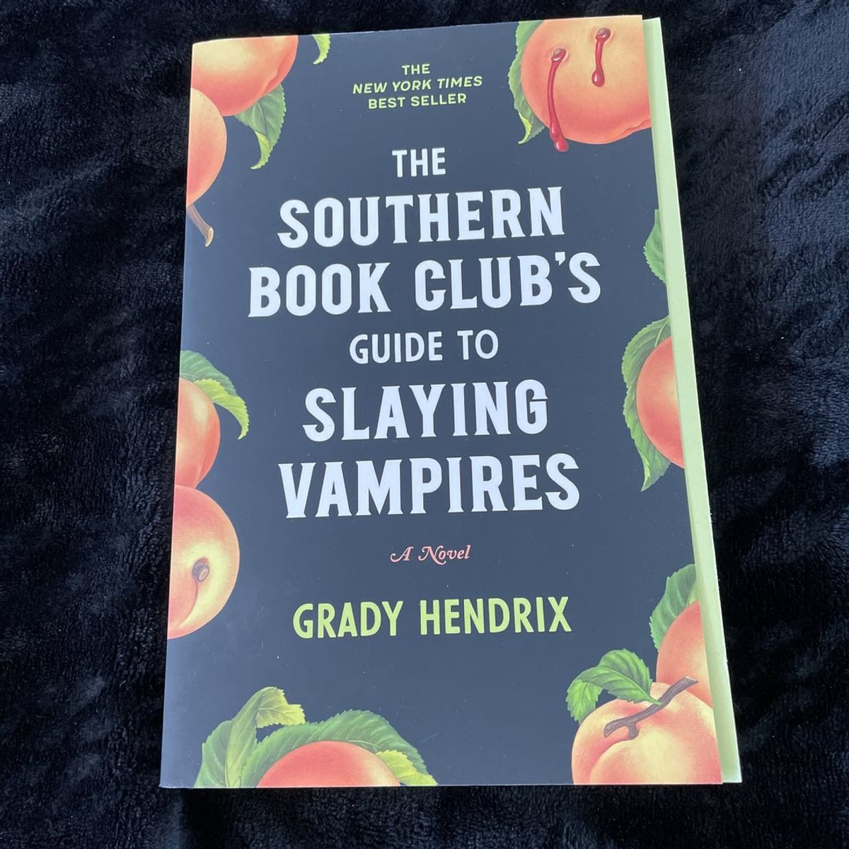 The Southern Book Club's Guide to Slaying Vampires by Grady Hendrix ...