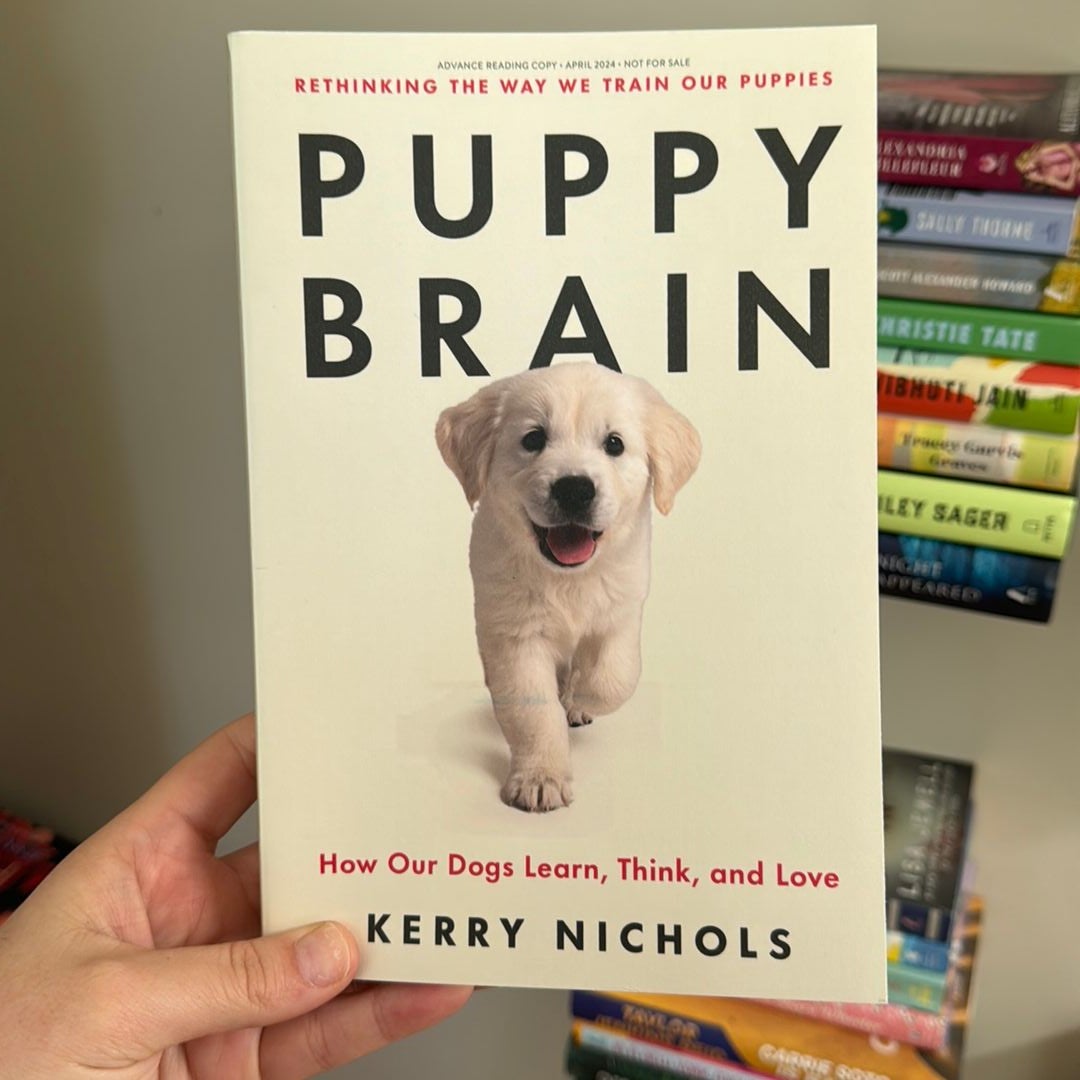 Puppy Brain by Kerry Nichols, Paperback | Pangobooks