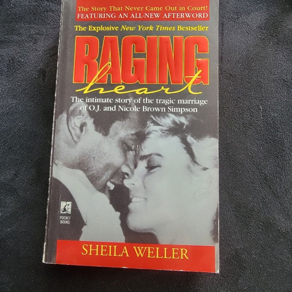 Raging Heart by Sheila Weller