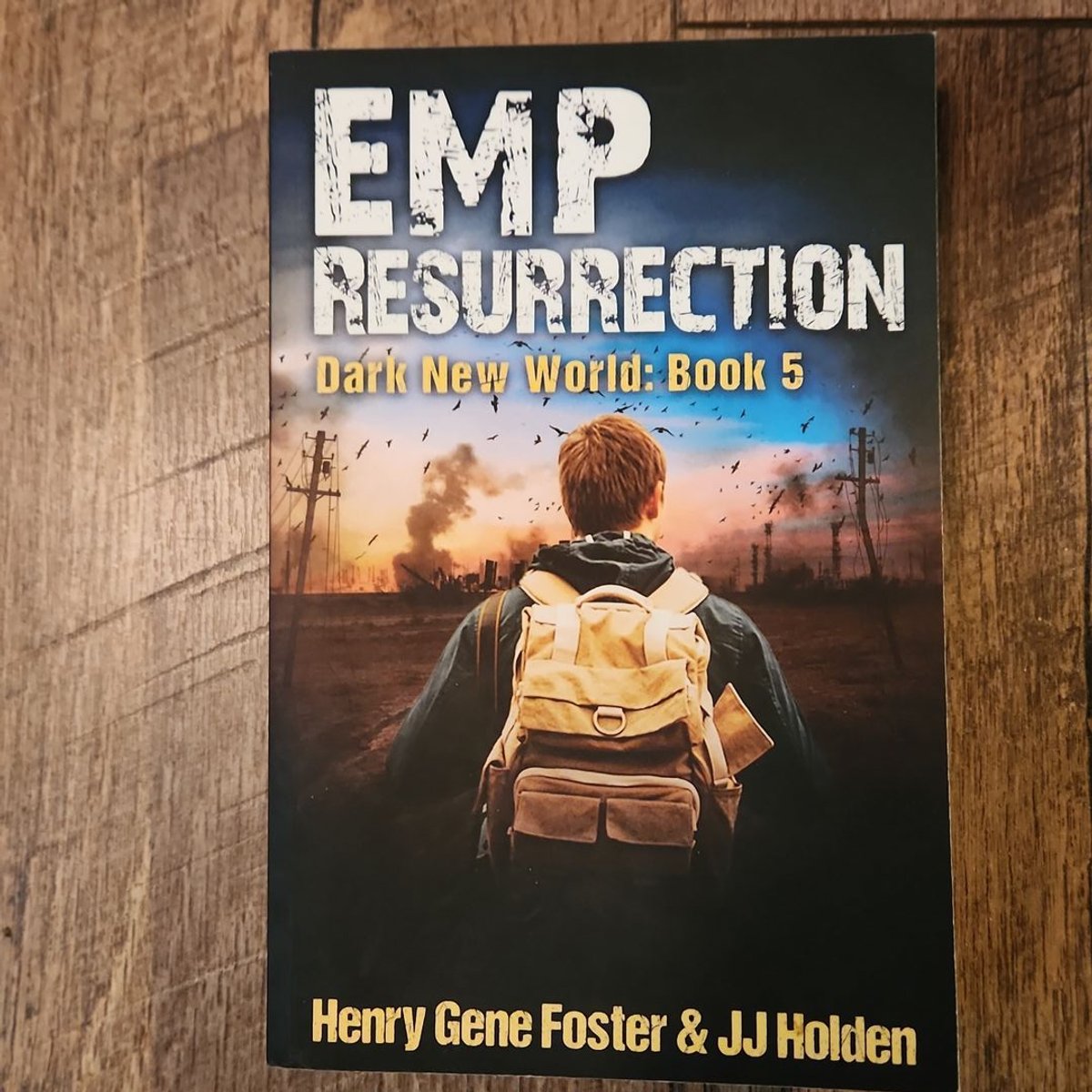 EMP Resurrection (Dark New World, Book 5) - an EMP Survival Story by J ...