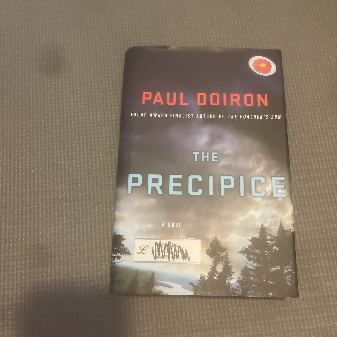 The Precipice by Paul Doiron, Paperback | Pangobooks
