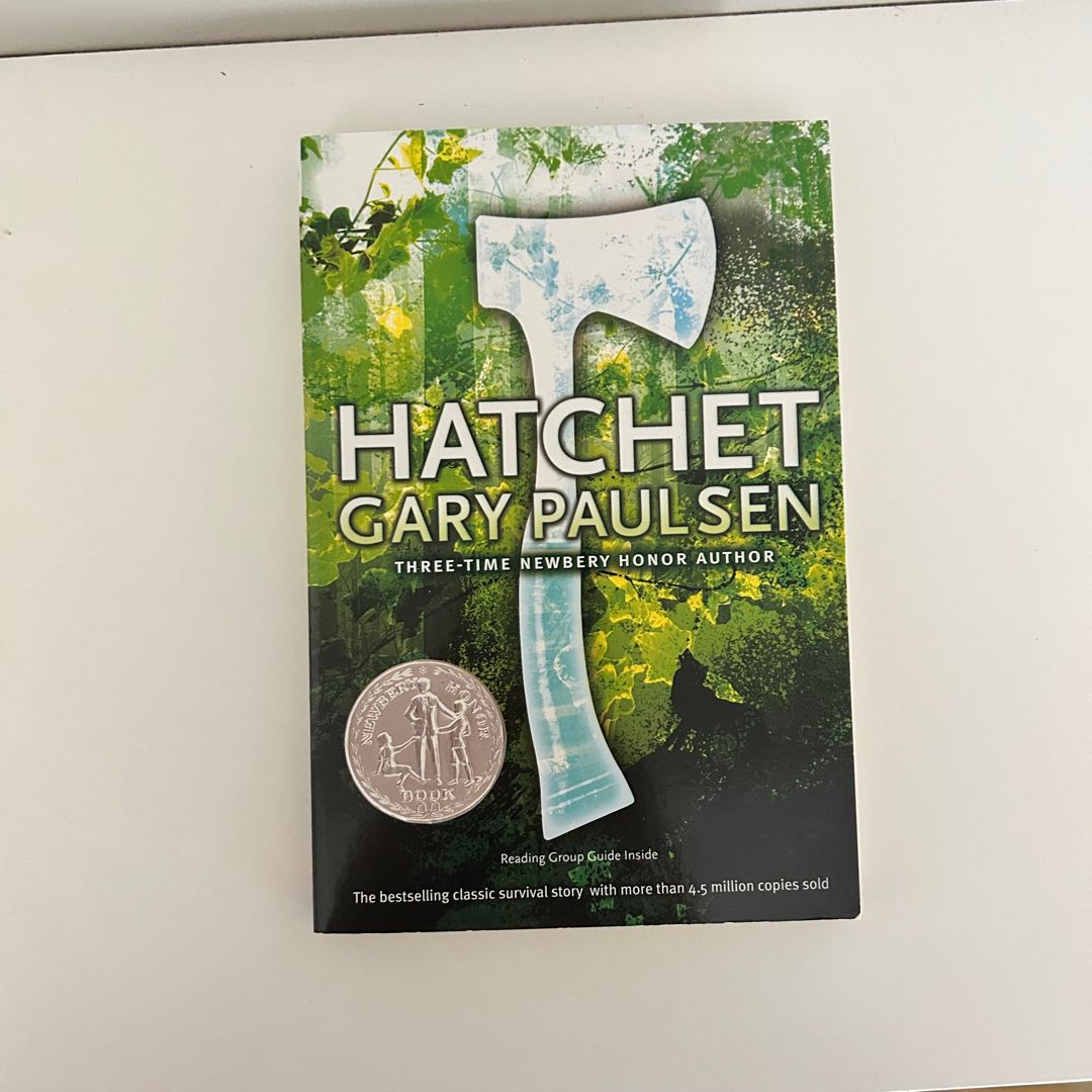 Hatchet by Gary Paulsen, Paperback | Pangobooks