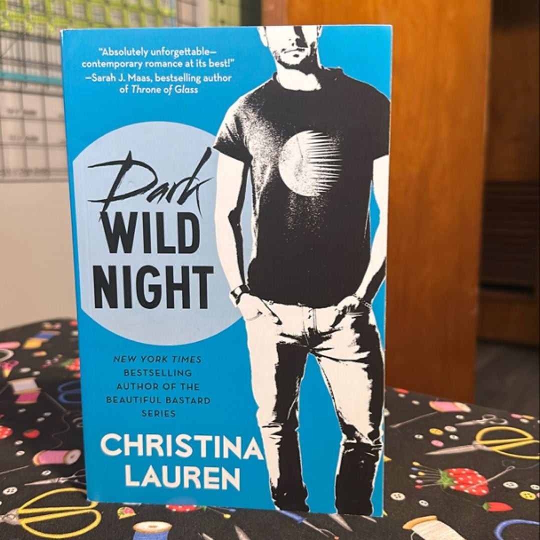 Dark Wild Night by Christina Lauren