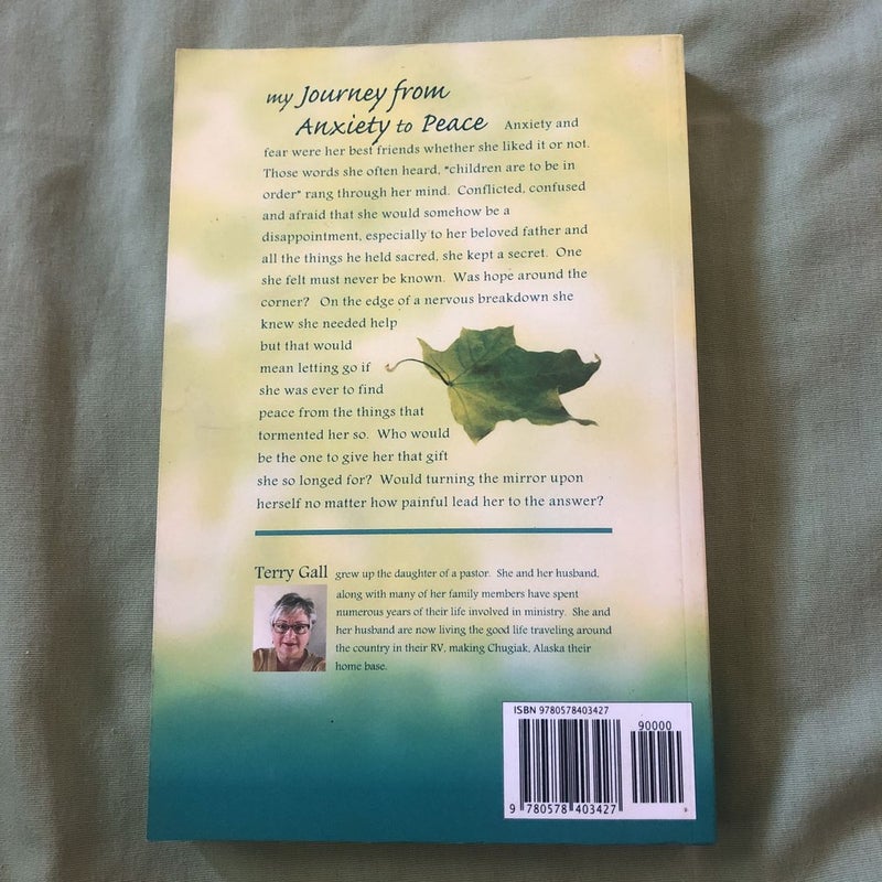 A Simple Extraordinary Life by Terry Gall, Paperback | Pangobooks