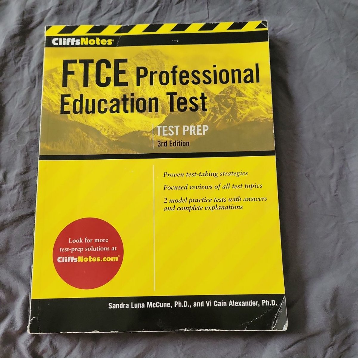 FTCE Professional Education Test by Sandra Luna McCune, Vi Cain Alexander