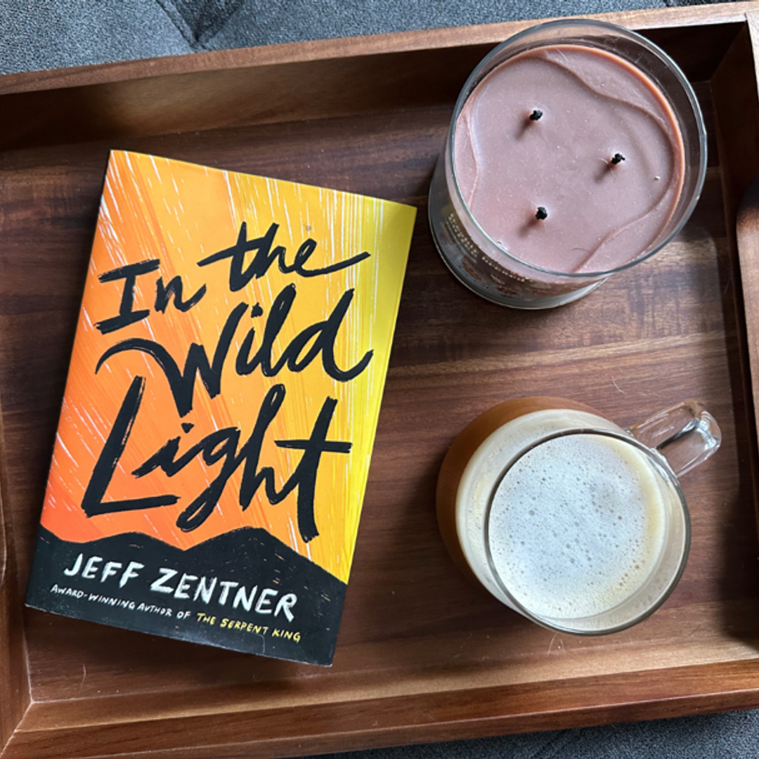 In the Wild Light by Jeff Zentner