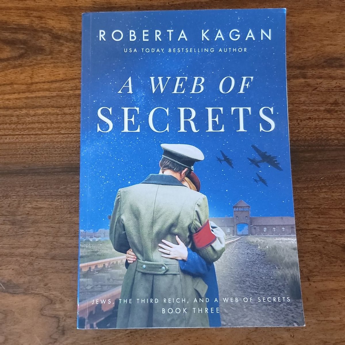 Web of Secrets by Roberta Kagan