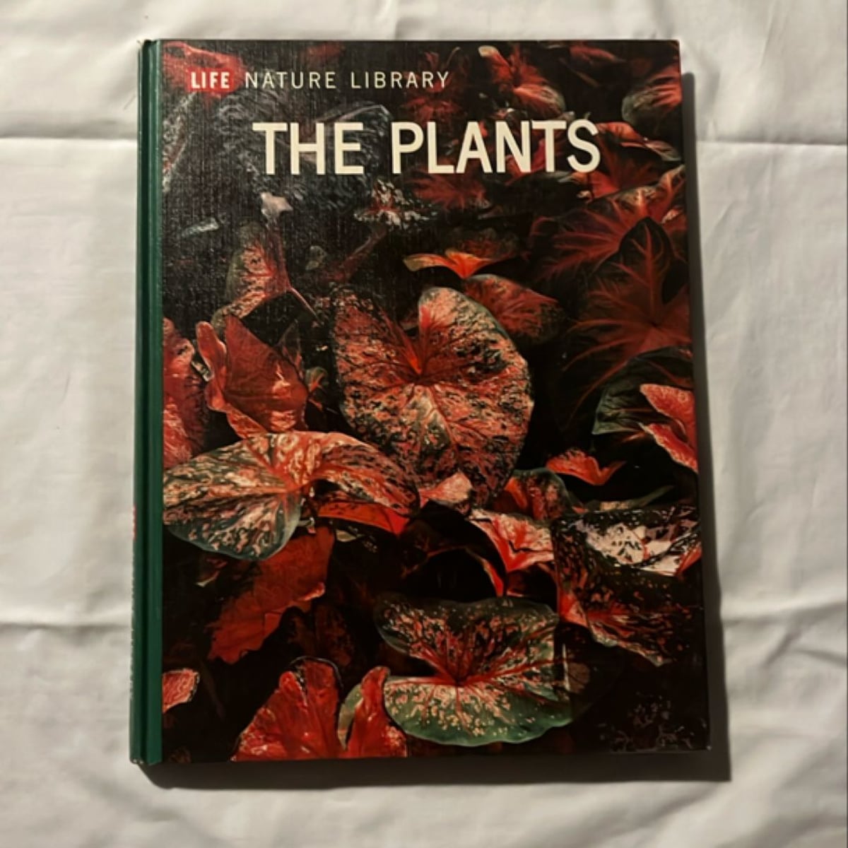 The Plants by Frits W. Went