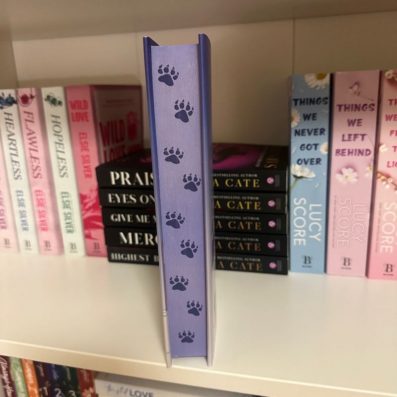 Fairyloot The Fake Mate by Lana Ferguson, Hardcover | Pangobooks