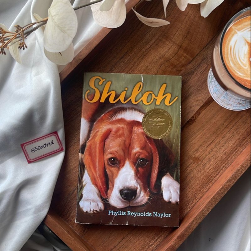 Shiloh by Phyllis Reynolds Naylor, Paperback | Pangobooks