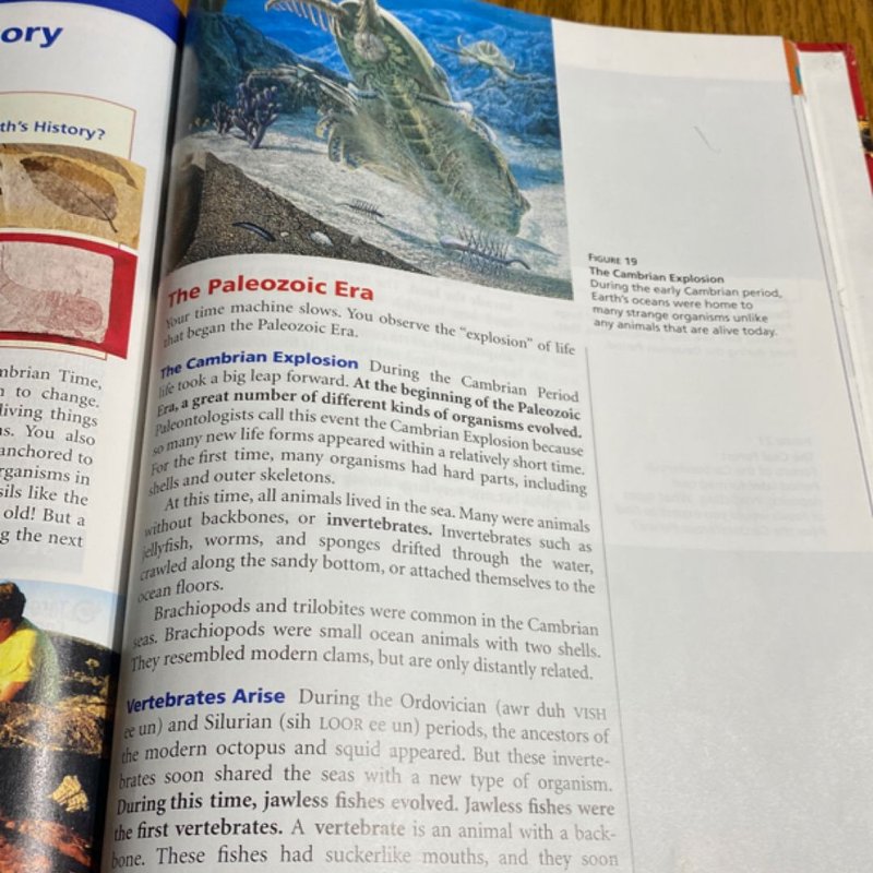 Prentice Hall Science Explorer - Earth's Changing Surface by Prentice ...
