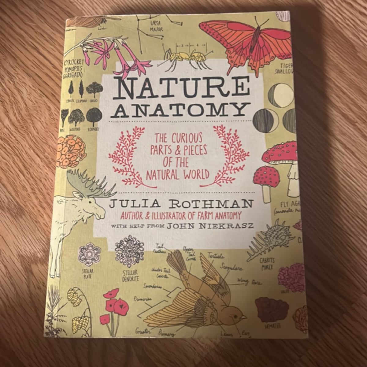 Nature Anatomy by Julia Rothman