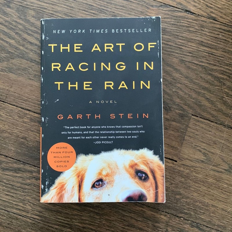 The Art of Racing in the Rain by Garth Stein, Paperback | Pangobooks