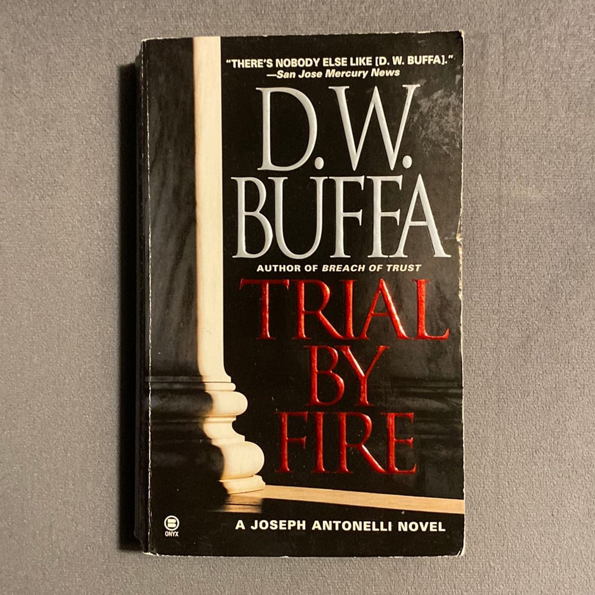 Trial by Fire by D. W. Buffa