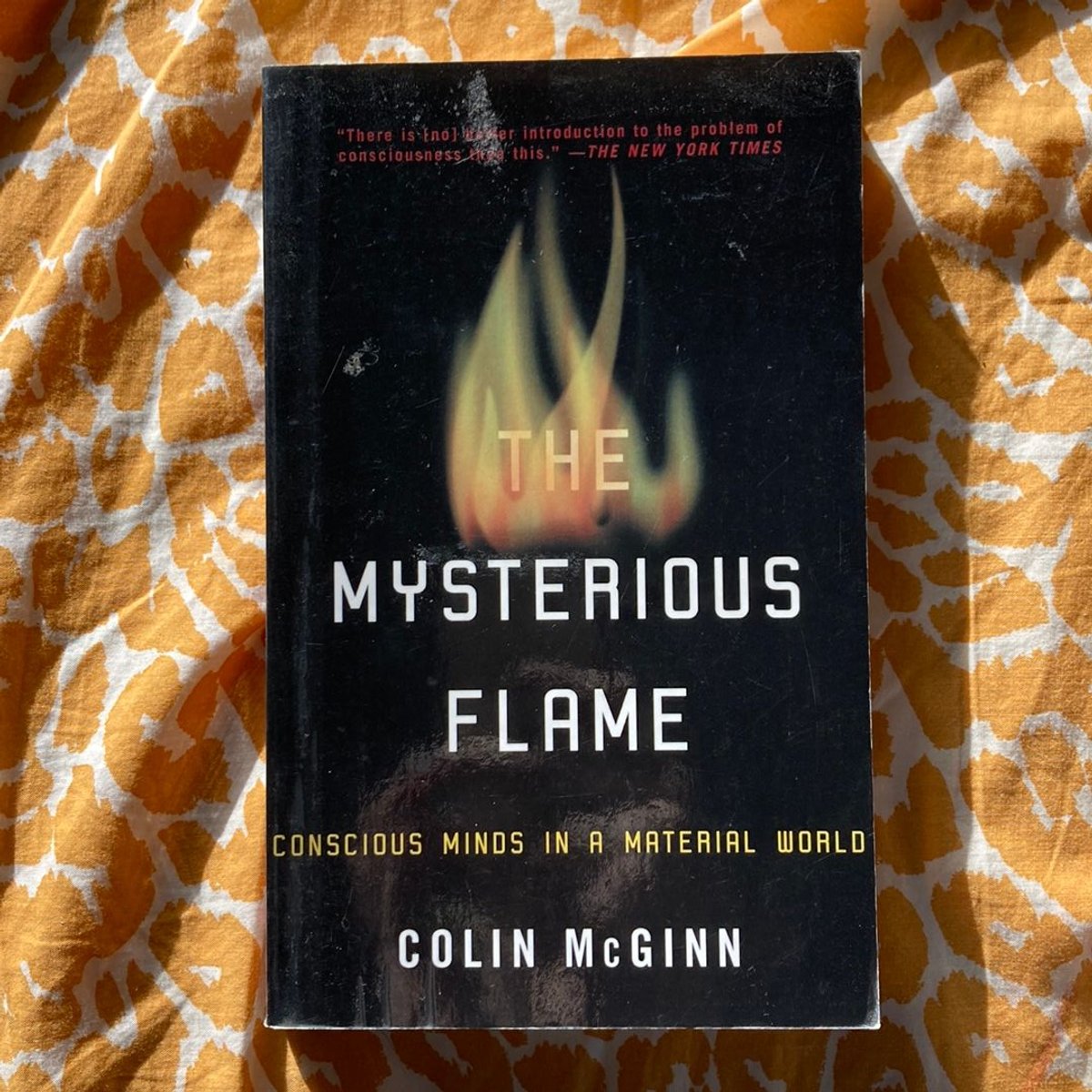 The Mysterious Flame by Colin Mcginn