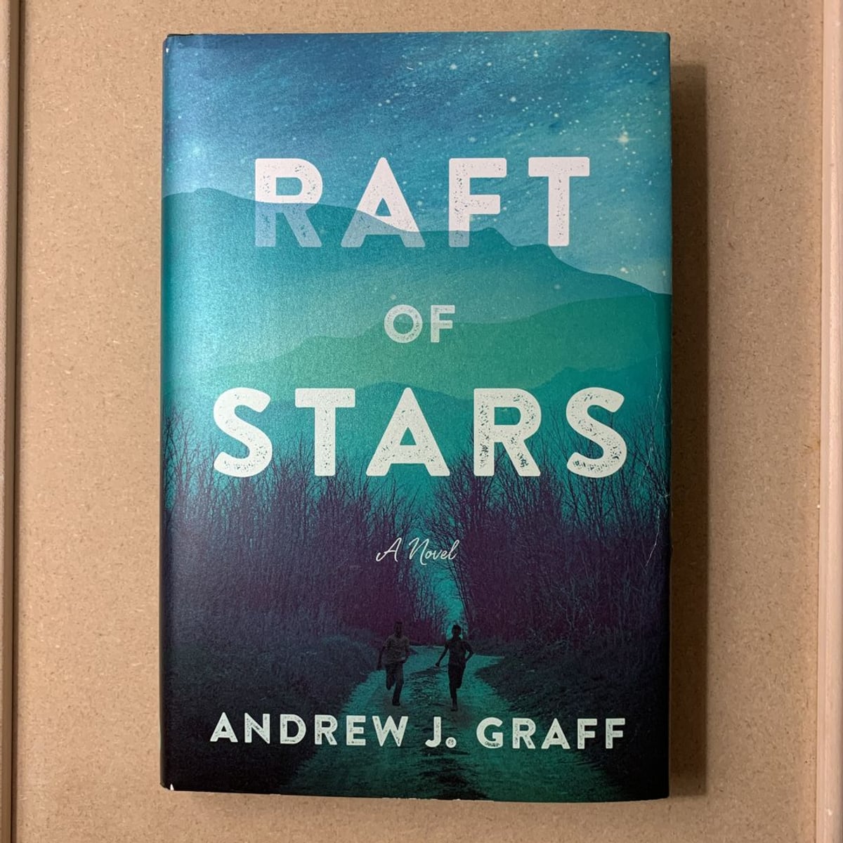 Raft of Stars by Andrew J. Graff