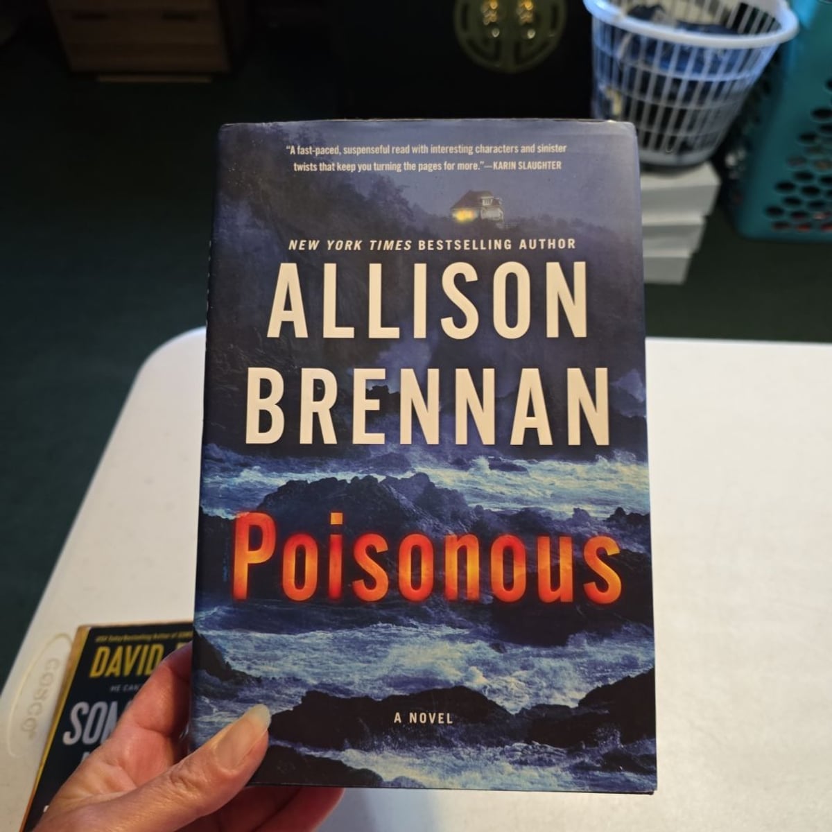 Poisonous by Allison Brennan